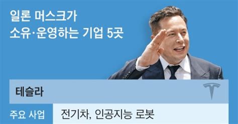 너무 커버린 ‘머스크 제국 美정부 불안도 커진다