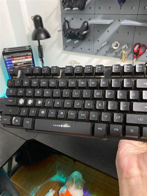 Eweadn Gaming Keyboard Original, Computers & Tech, Parts & Accessories ...