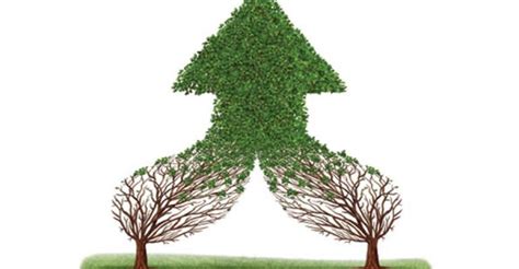 How To Merge Your Parallel Test Cucumber Reports