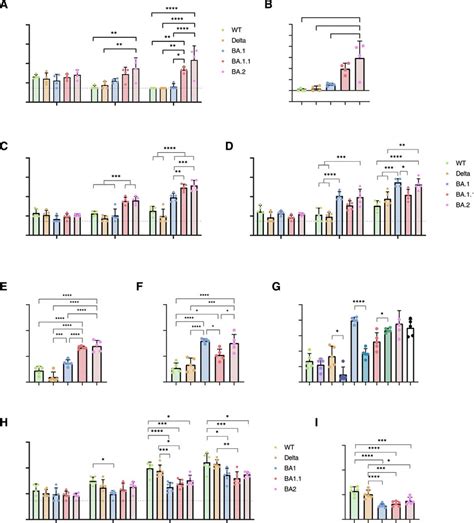 Viral Replication Kinetics Of Sars Cov 2 Variants In Ex Vivo Cultures