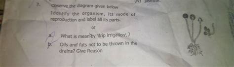 7 Observe The Diagram Given Below Filo