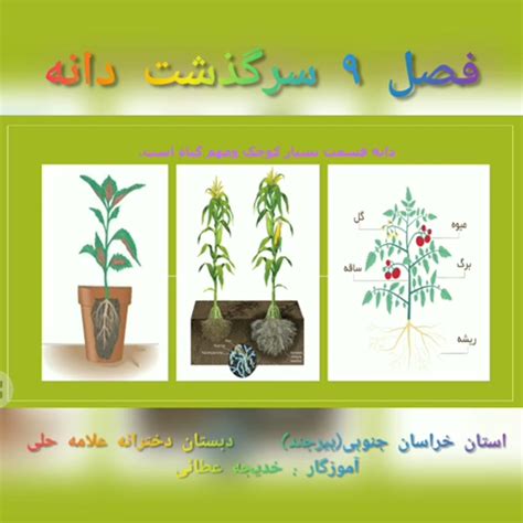 علوم فصل نهم قسمت اول سرگذشت دانه پایه دوم ابتدایی