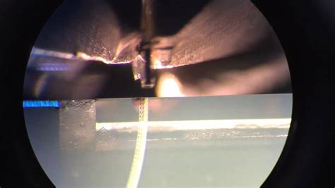 Microtomy For Serial Em Youtube