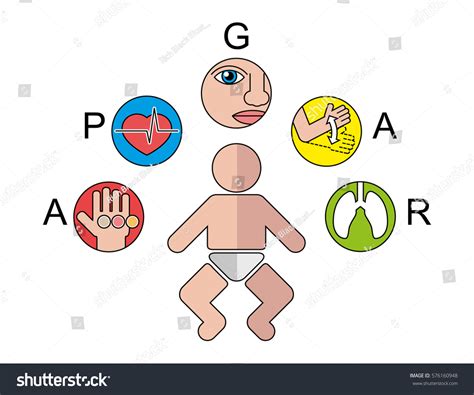 Apgar Score Over 7 Royalty Free Licensable Stock Illustrations