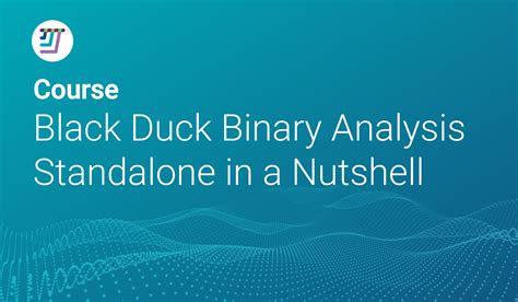 Black Duck Binary Analysis Standalone In A Nutshell