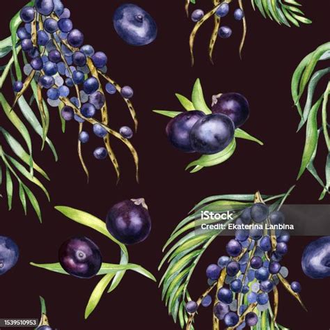무리 아사이 열매와 야자수는 어둠 속에서 분리된 수채화 이음매 없는 패턴을 남긴다 이국적인 아마존 보라색 열매 열대 과일 손으로 그렸습니다 포장 섬유 배경 종이를 위한