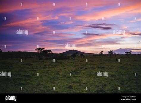Dramatic Sunset Over Masai Mara Colorful Sky And Acacia Trees Stock