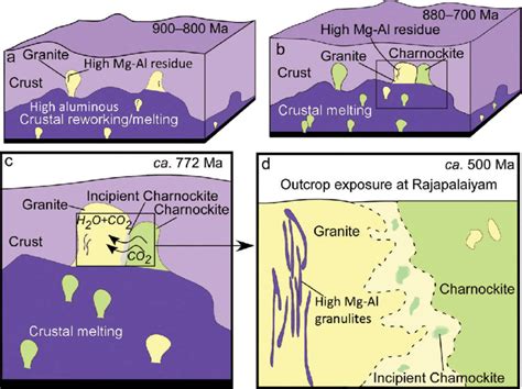 A Cartoon Made By Integrating Various Crustal Processes Discussed In