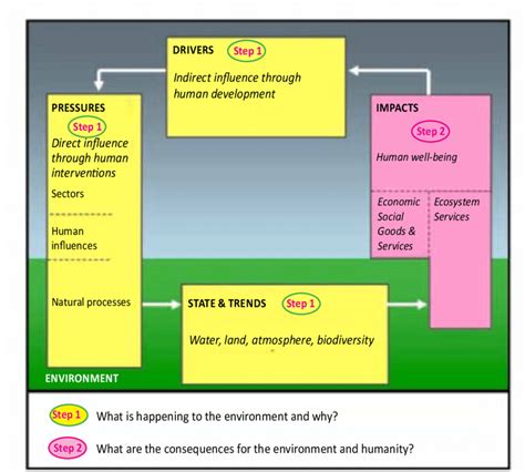 The Four Components Of The Dpsir Model Of Ecosystem State And Function