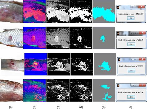 AI In Fish Disease Detection Paul 2015 Download Scientific Diagram