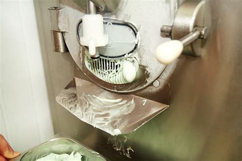 요리사 유니폼 여성 제과 아이스크림 메이커 기계에 일하고 있다 민트 아이스크림 풍미를 생산 강철 컨테이너에 빠진다 이탈리아 크림 아이스크림 산업 준비 합니다 강철에 대한