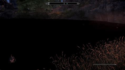 Missing Water Glitch Skyrimmods
