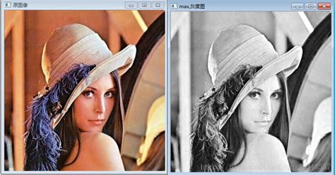 opencv 影象的反色與灰度圖顯示 程式人生