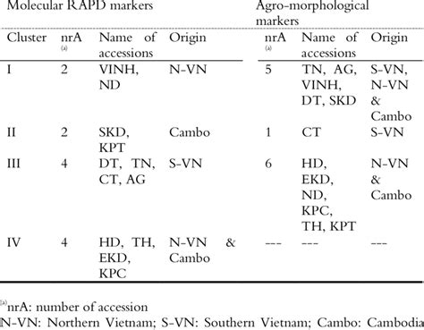 Clustering Patterns Of 12 Sesame Accessions Based On Rapd And