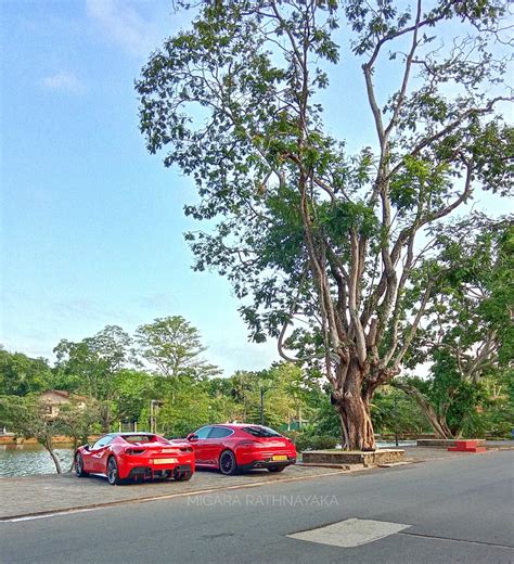 migara rathnayaka migara rathnayaka instagram photos and videos