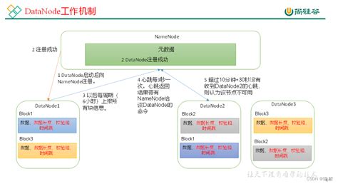 namenode和secondarynamenode的关系 csdn博客