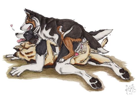 Rule 34 Anal Anal Sex Animal Genitalia Animal Penis Anthro Anthro On