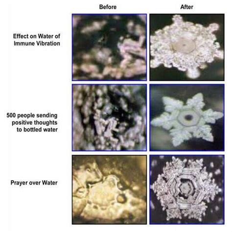Dr Masaru Emotos Experiment On Water Crystals He Taped Words To