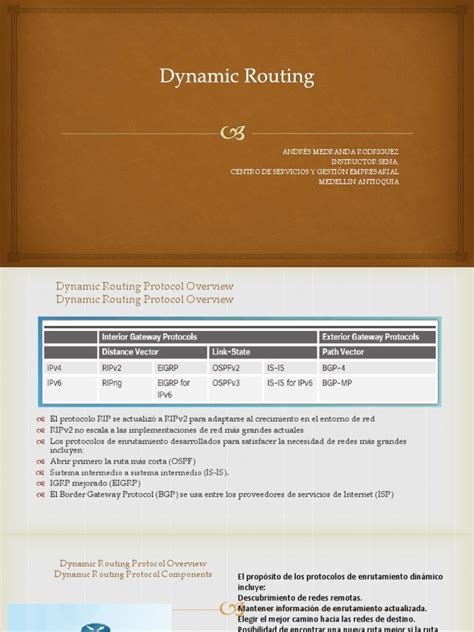 dynamic routing pdf enrutador computación protocolos de internet