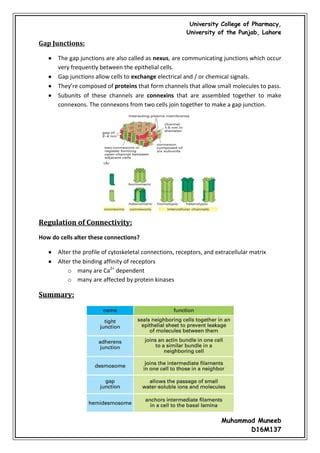 Cell Junctions And The Extracellular Matrix PDF Biological Sciences Science
