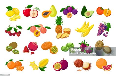 흰색 배경에 격리 된 대형 과일 컬렉션 상세한 벡터 일러스트레이션 육즙이 많은 피타야 두리안 카람볼라 키와노 람부탄 쿠카멜론 포멜로 손가락 유자 패션 과일 복숭아 레몬 패션
