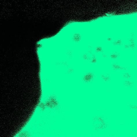 Intensity Analysis Vs Time In Multiple Images Image Analysis Image