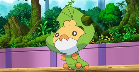 Pokémon Type Effectiveness Buggrass Quiz By Peacemaker