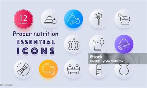 적절한 영양 세트 아이콘입니다 원형 아이콘은 음식 피라미드 수분 공급 호박 핸드 트레이 식당 음료수 병 좌석 주방 도구 및 건강 관련 기호를 개요 스타일로 표시합니다 건강한