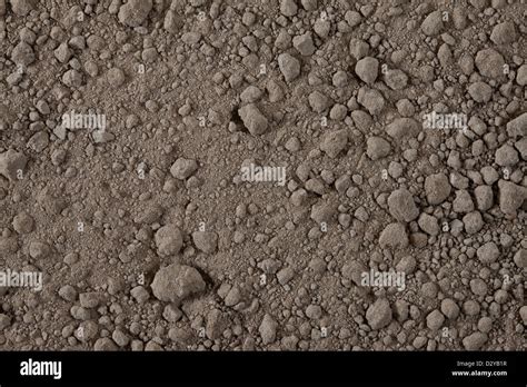 Silt Loam Soil Sample Percentages Clay 12 Silt 79 Sand 26 Stock