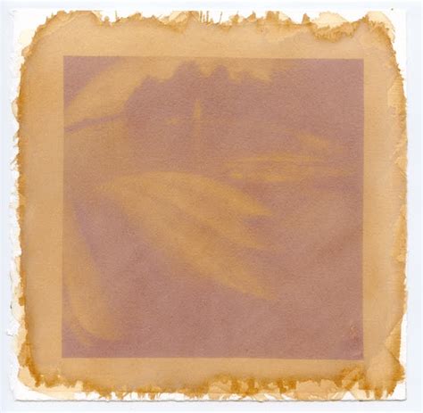 Scott Barnes Anthotype 7 Blueberry Canoes