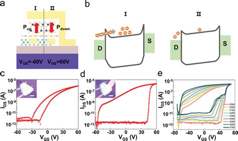 a Schematic of αIn Se polarization up and down states in the