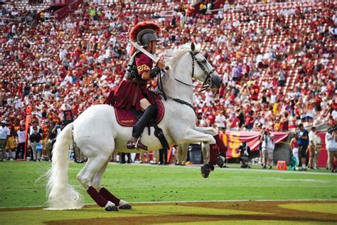 Usc Trojans Mascot Usc Trojans Mascot Advocate Classic Ncaa Editorial