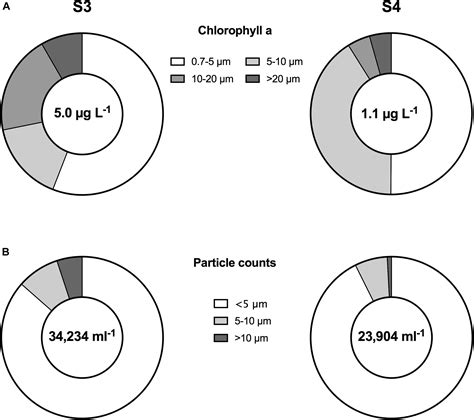Frontiers Multi Instrument Assessment Of Phytoplankton Abundance And Cell Sizes In Mono