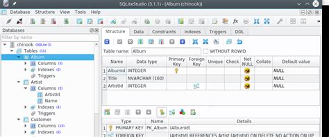 Database SoftPython