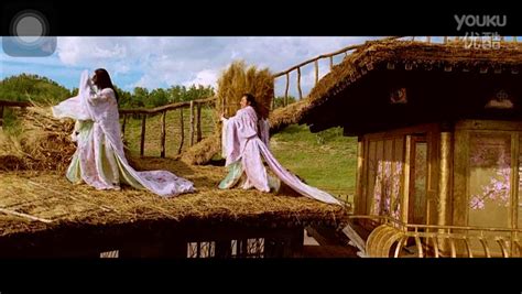 电影 无极 张东健 张柏芝 真田广之 谢霆锋 刘烨