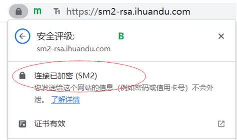 国密证书 SM RSA ECC 双SSL证书部署演示网站