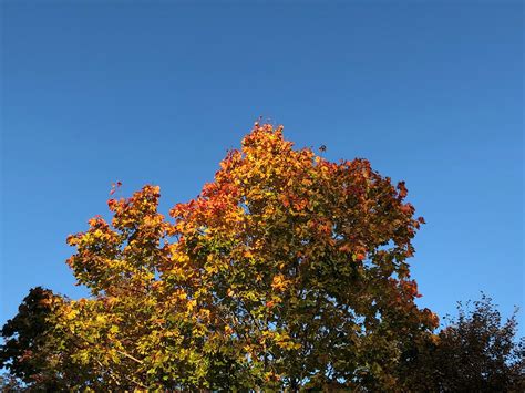 가을 루스카 하늘 Pixabay의 무료 사진