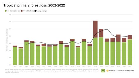 How Much Forest Was Lost In 2022 World Resources Institute Research