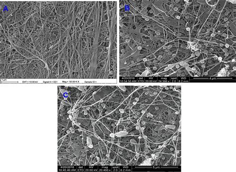 The Sem Image Of A Bc B Bc Nip And C Bc Mip Nanofibres