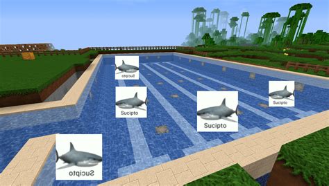 I Made A Minecraft Shark Mod R Phoenixsc