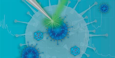 Nanoscopy Leibniz Institut Für Photonische Technologien E V