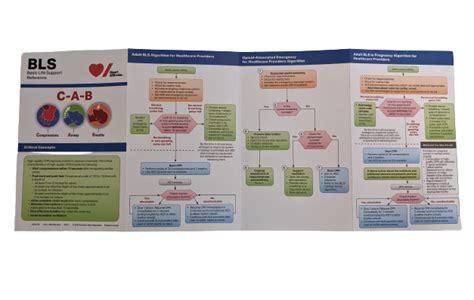 2020 Bls Reference Card Wildmedkits