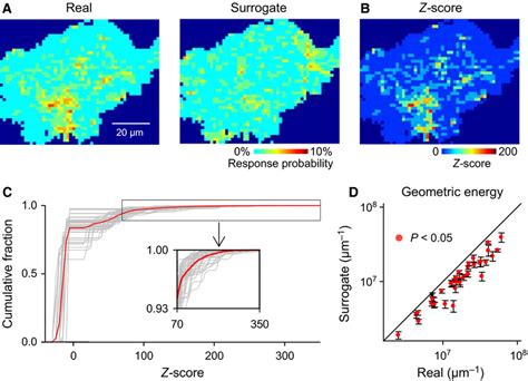 Hotspots For Astrocytic Calcium Signals A Heat Maps Of Activated Download Scientific