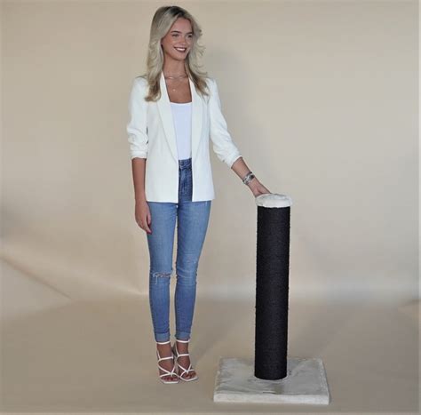 Ragdoll Scratcher Blackline Beige