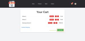 Integrate Payment Gateways In Django