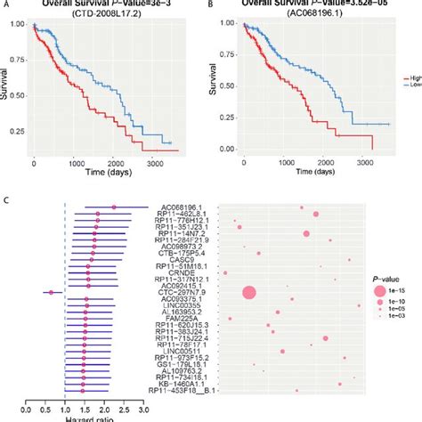 Transcriptome Profiling Of Non Coding Rnas By Rna Seq In Hcc A The Download Scientific