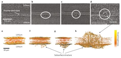 Dendrites Grow Like Kudzu › Sustainable Skies