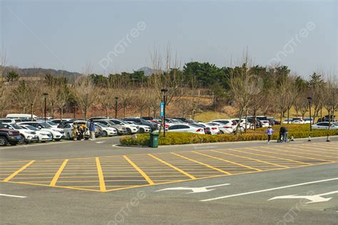 공원 입구의 넓은 주차장 상업용 주차장 지혜 주차 지능 주차 배경 일러스트 및 사진 무료 다운로드 Pngtree