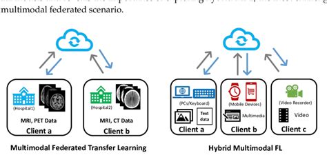 The Illustration Of Multimodal Federated Transfer Learning And Hybrid