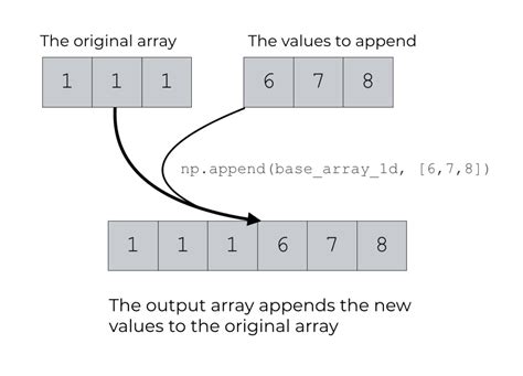 How To Use The Numpy Append Function Sharp Sight